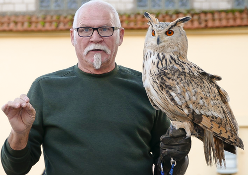 HDV gemeinnützige GmbH | Detailansicht